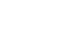 Madison Auction